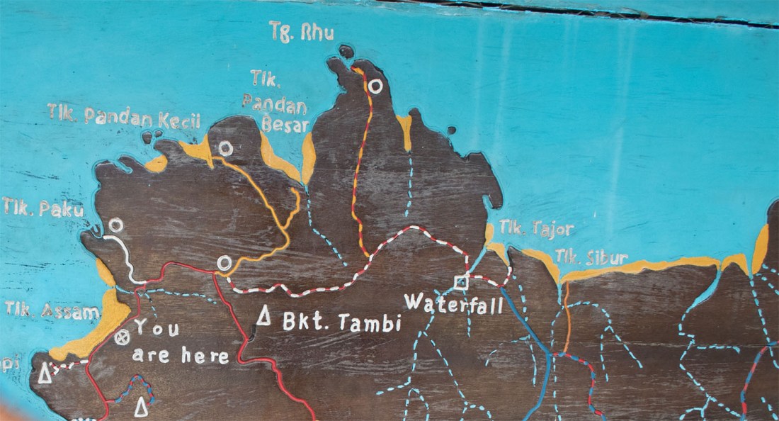 Sarawak: Hiking in Bako – A Walk with Wildlife