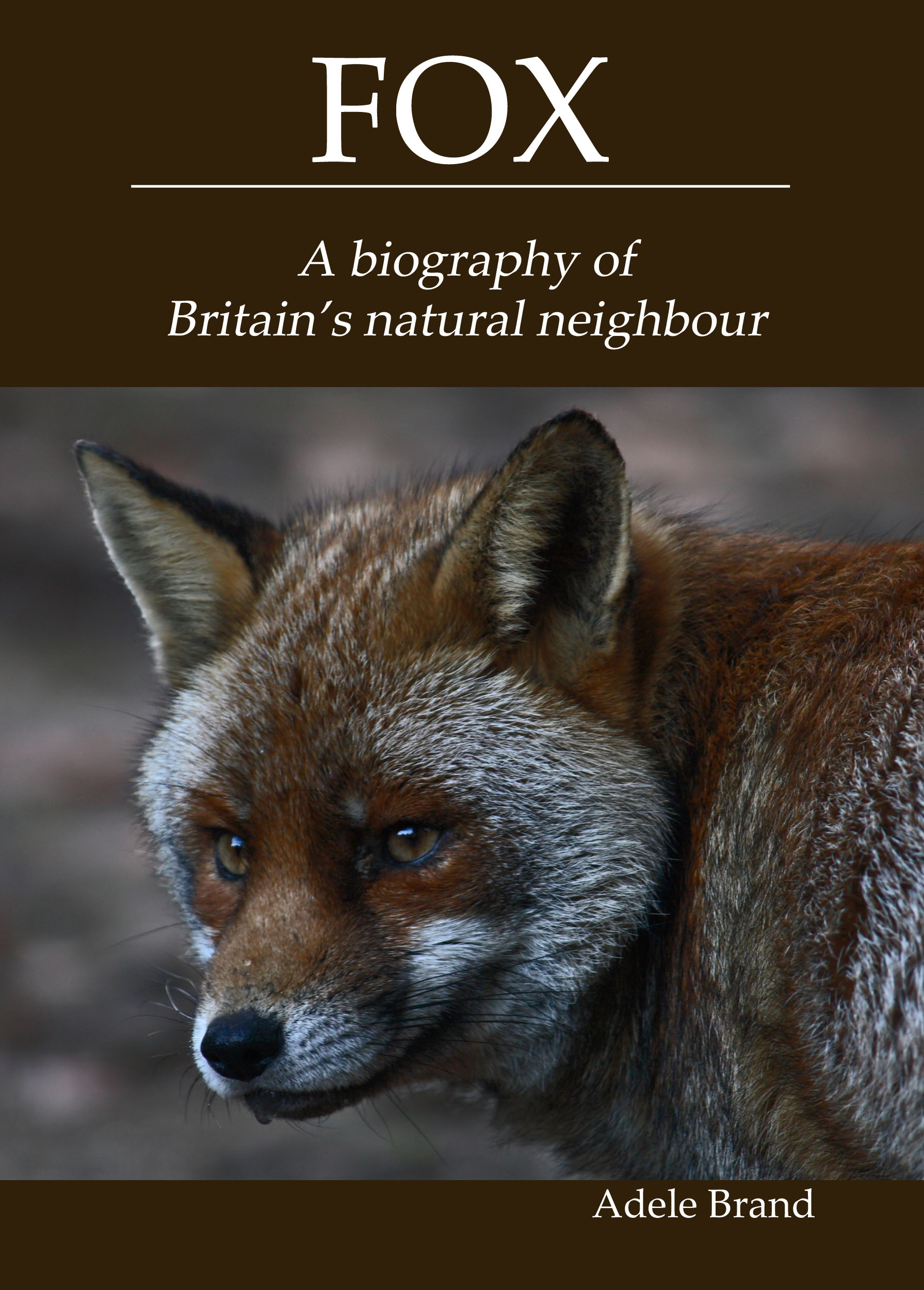 At the Crossroads – A Walk with Wildlife