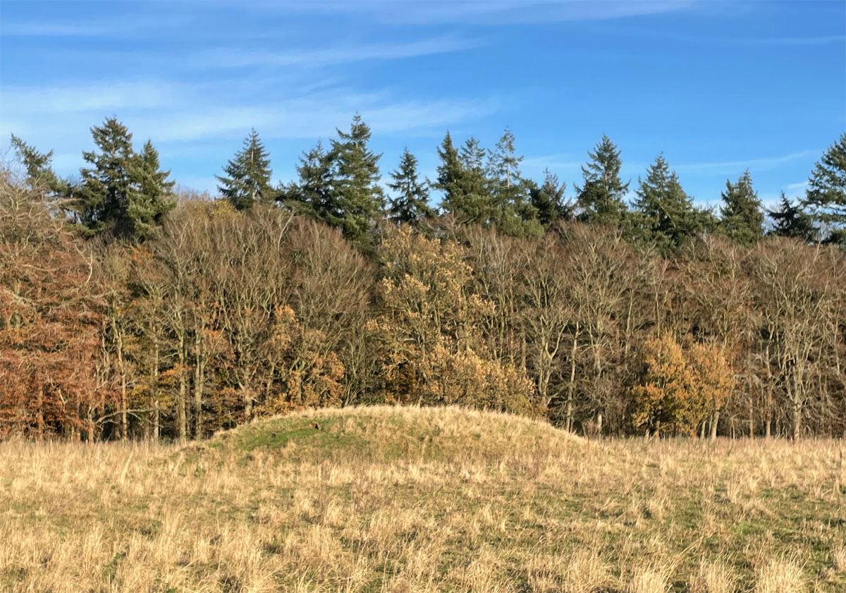 Peddars Way: Timekeepers – A Walk with Wildlife