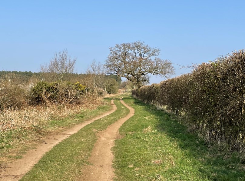 Peddars Way: Almost Roman – A Walk with Wildlife